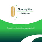 Probiotic support for digestion