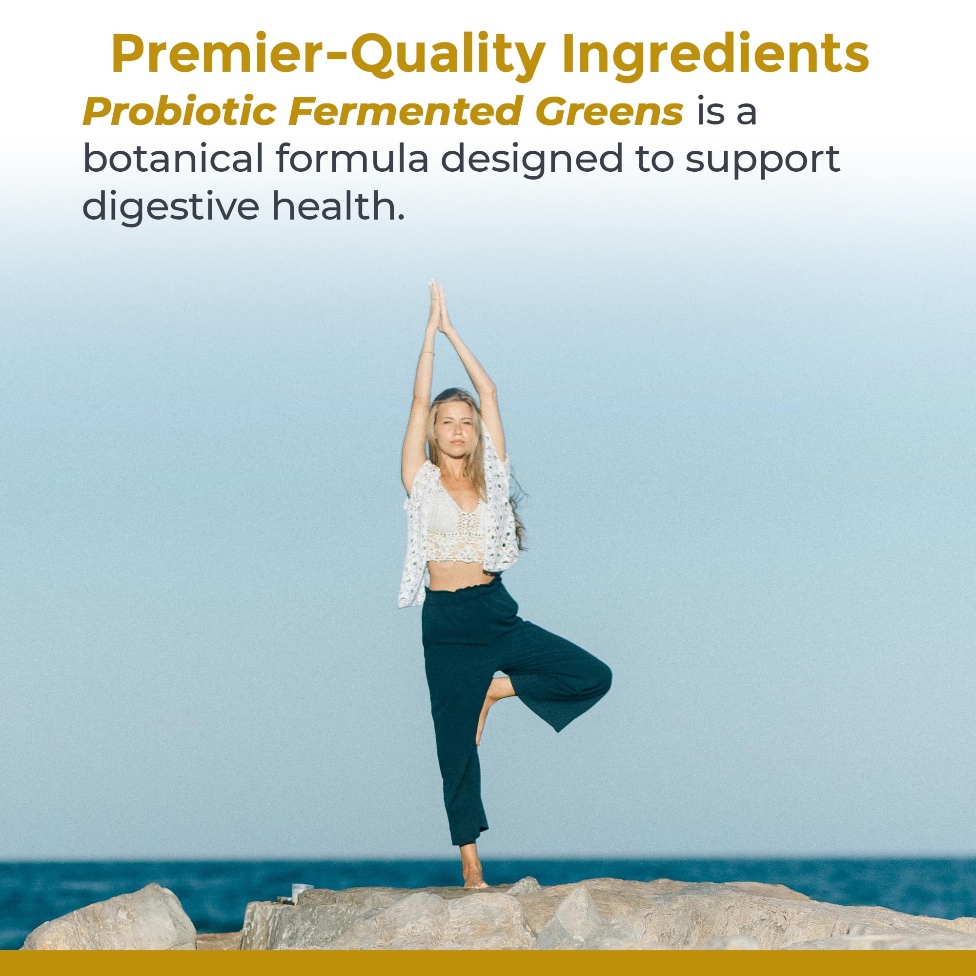 probiotic support for digestive wellness