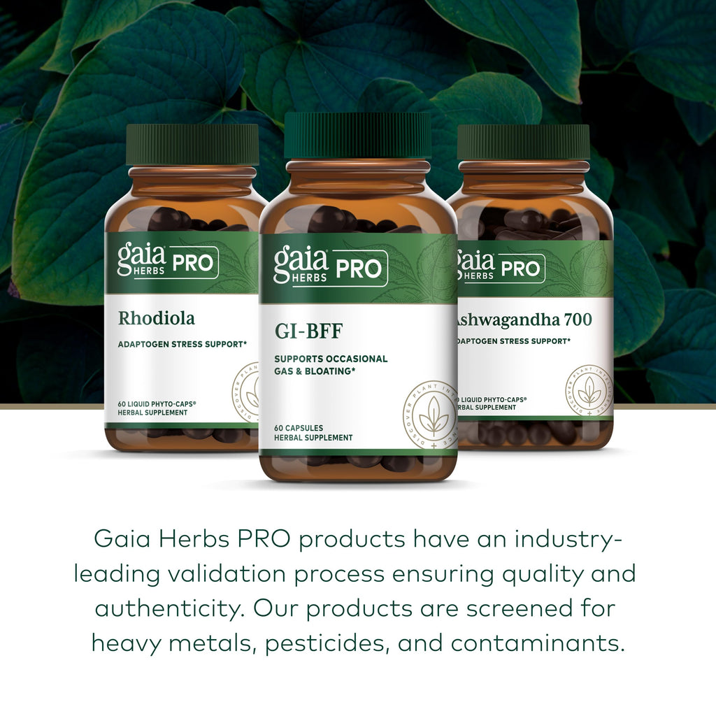 probiotic support for gut health
