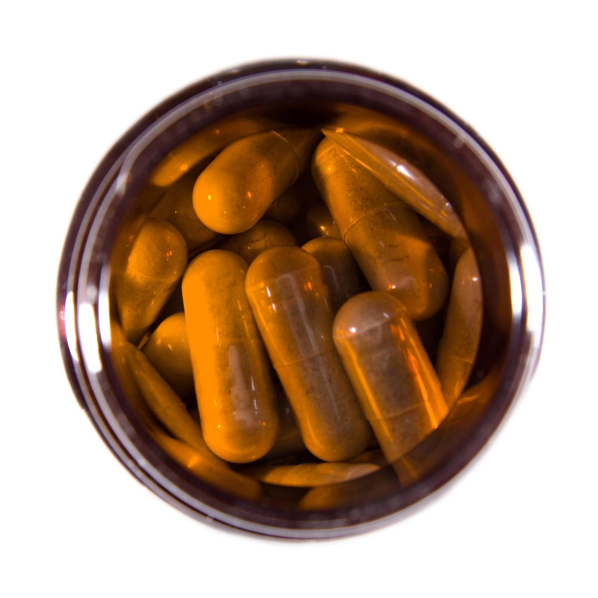 probiotic support with digestive enzymes