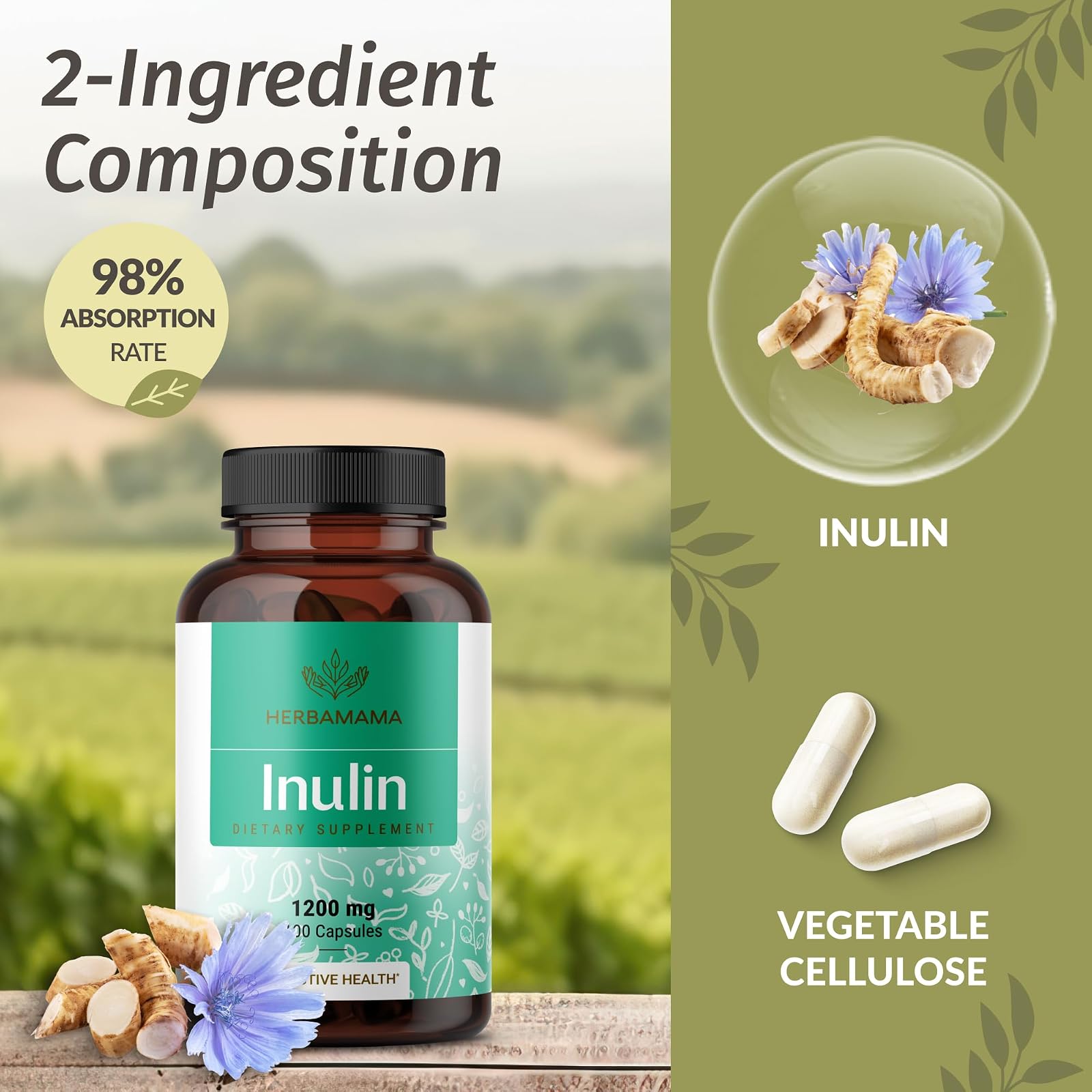 probiotic support with inulin