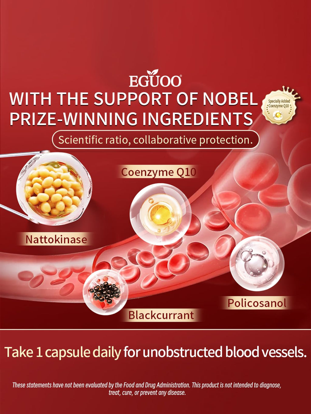 Probiotic support with Natokinase Plus