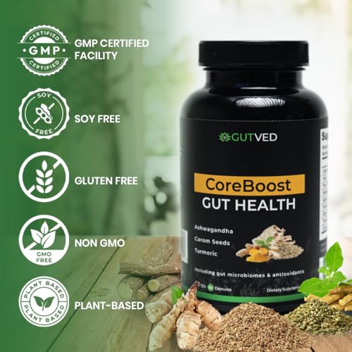 probiotic support with turmeric benefits