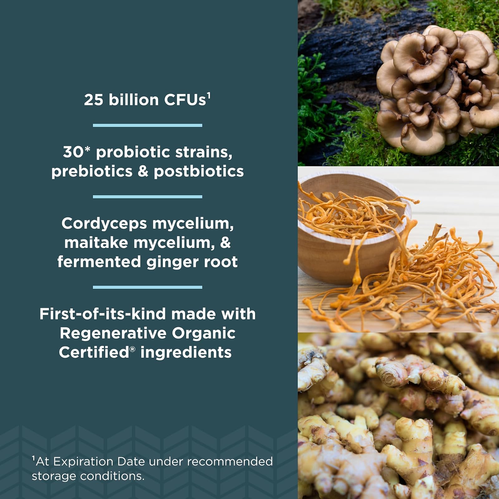 Probiotics 50 billion CFU capsules
