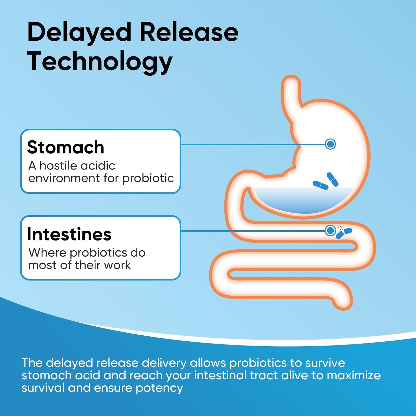 probiotics 50 billion cfu for daily use