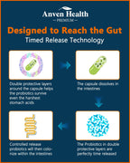 probiotics 50 billion CFU for daily wellness