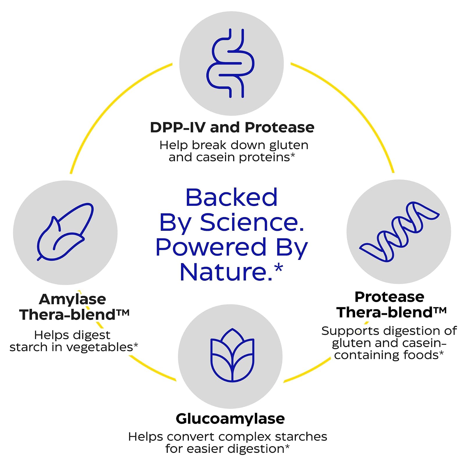 Probiotics and digestive enzymes combination
