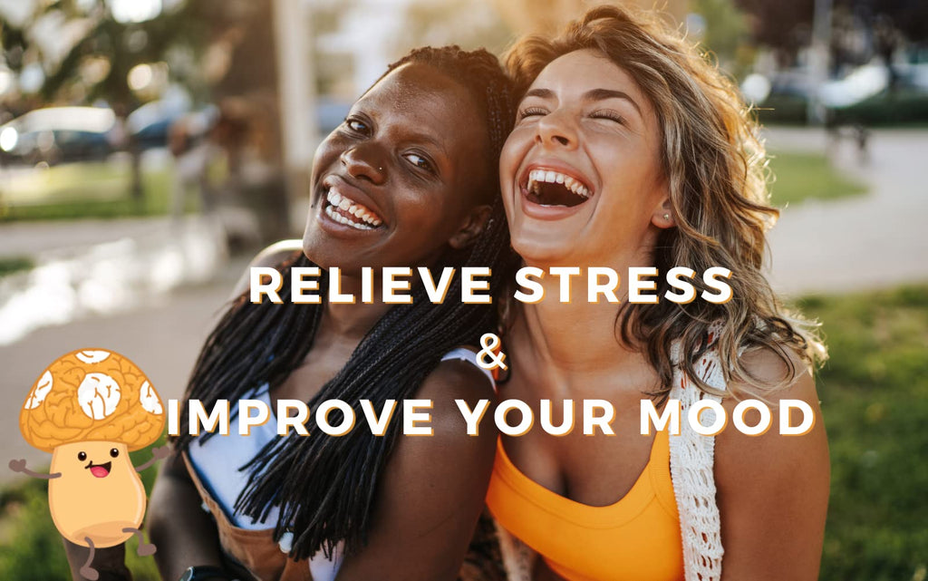 probiotics and elderberry supplement