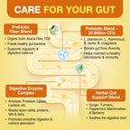 probiotics and enzymes for better digestion