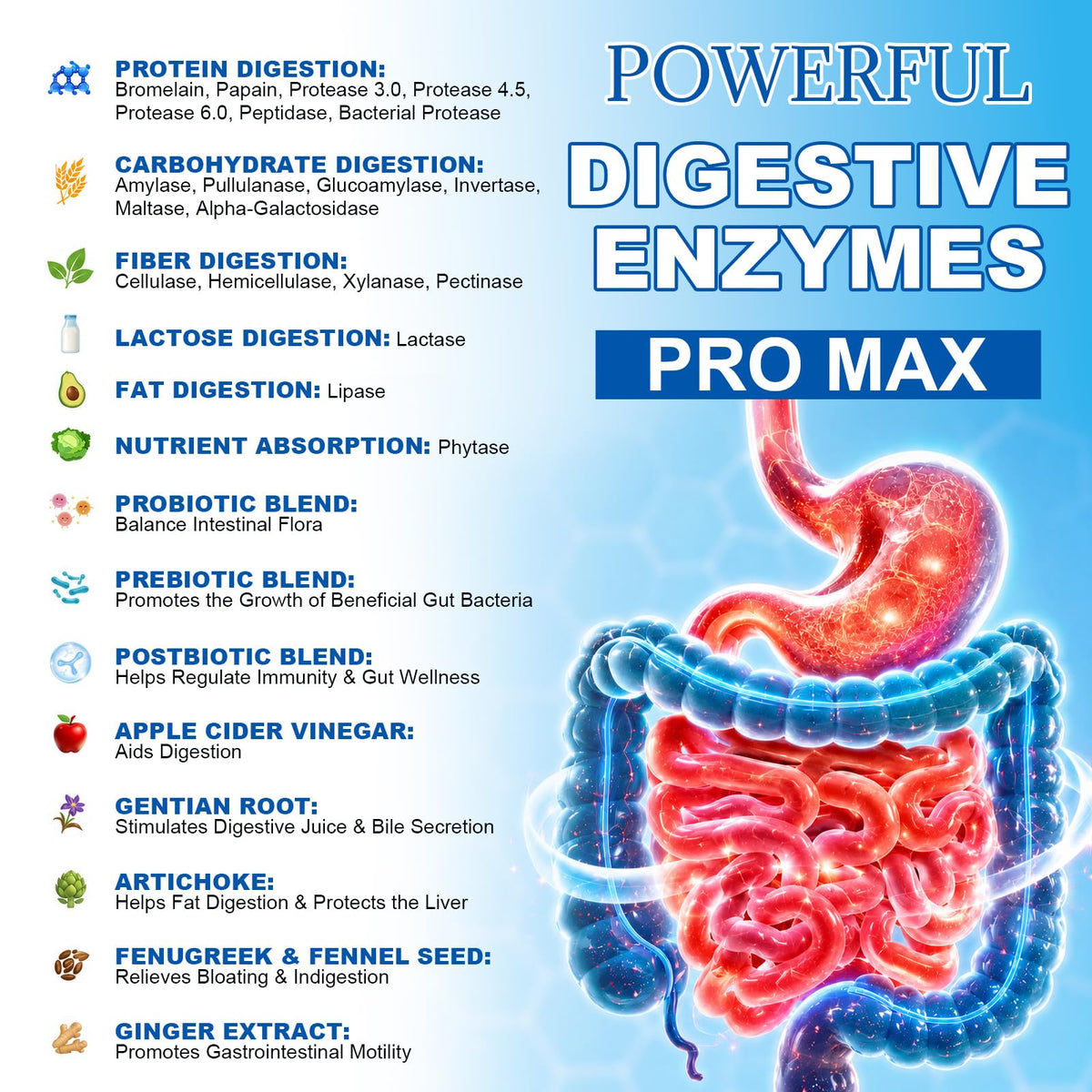 Probiotics and enzymes for digestive wellness