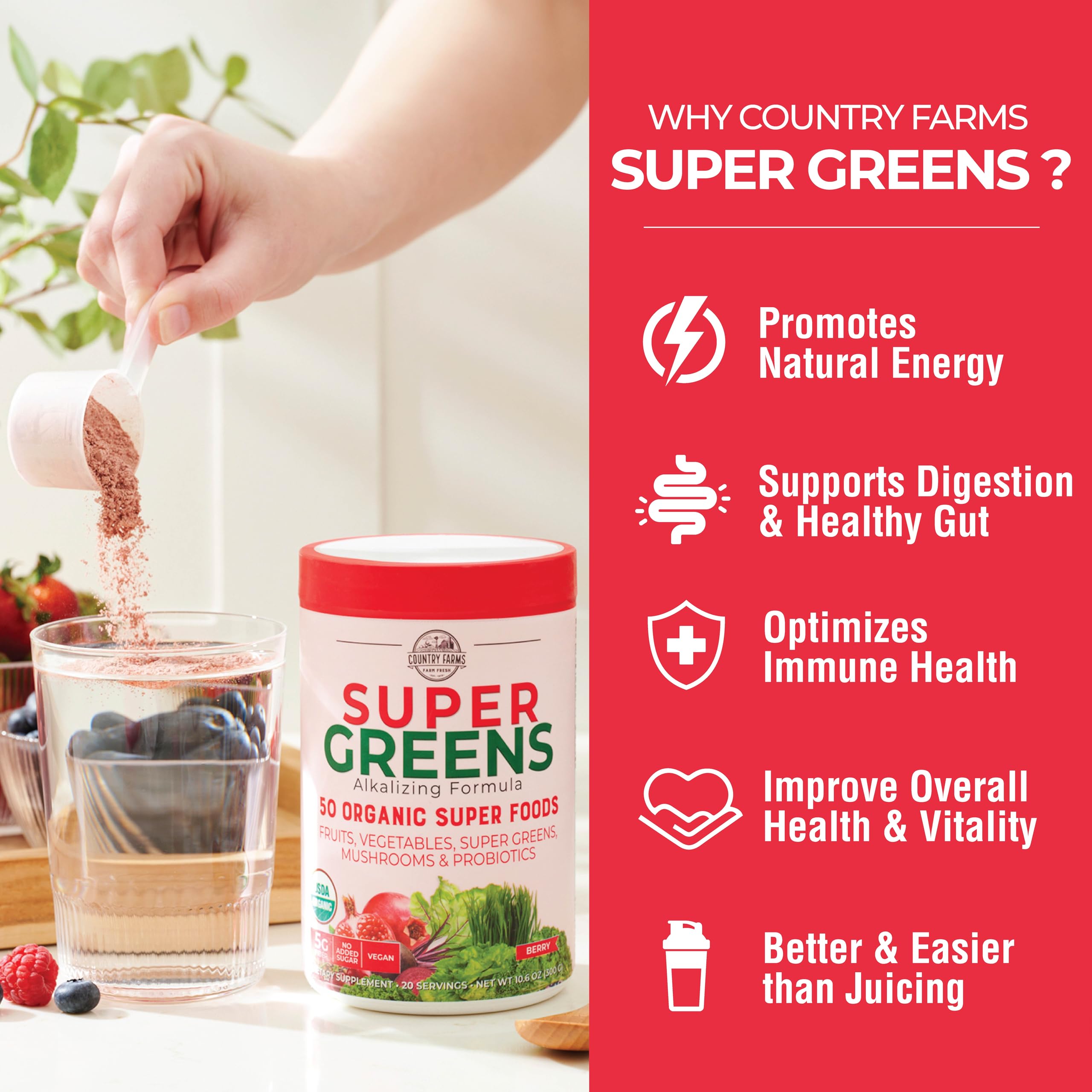 probiotics and mushrooms for gut support