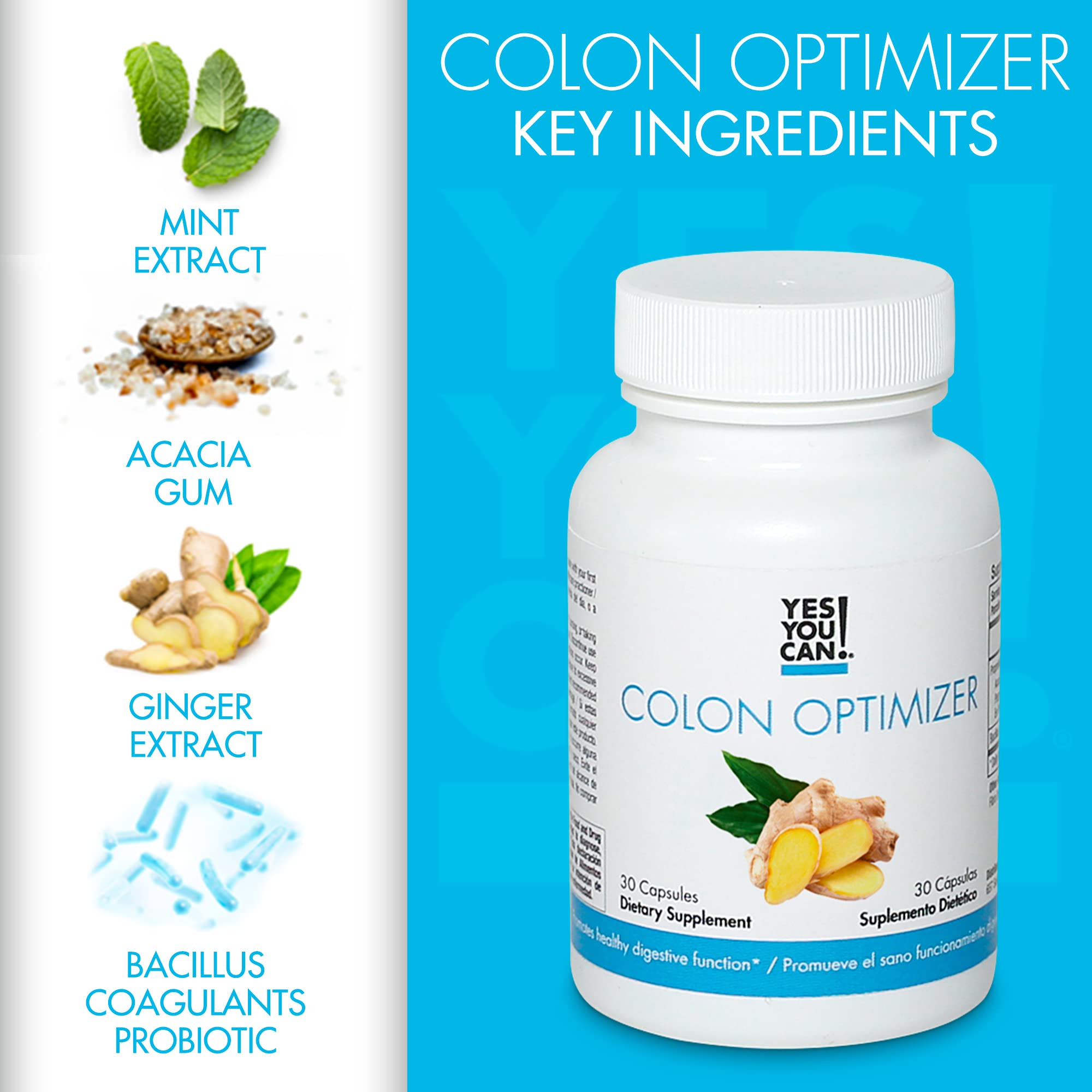 probiotics for a healthy colon