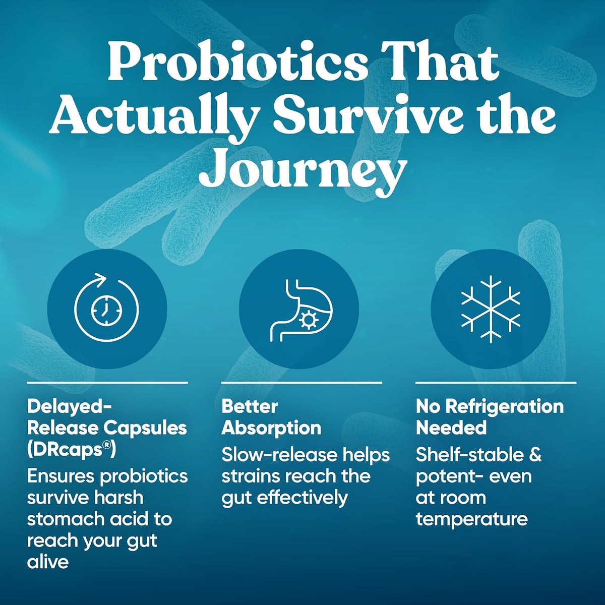 probiotics for a healthy pregnancy