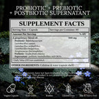 probiotics for balanced digestion