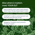 Probiotics for balanced gut flora