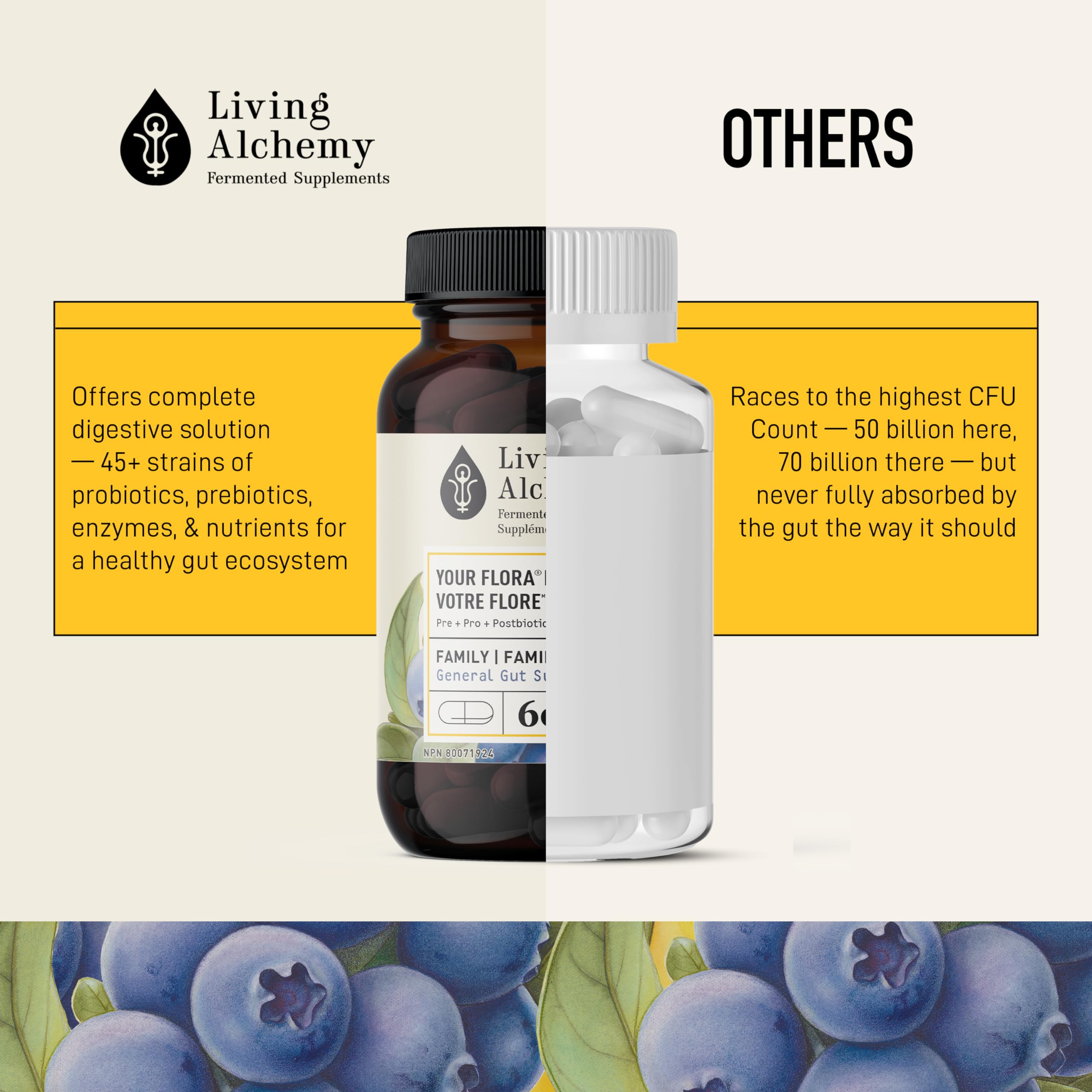 probiotics for balanced gut flora