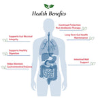 probiotics for balanced gut flora