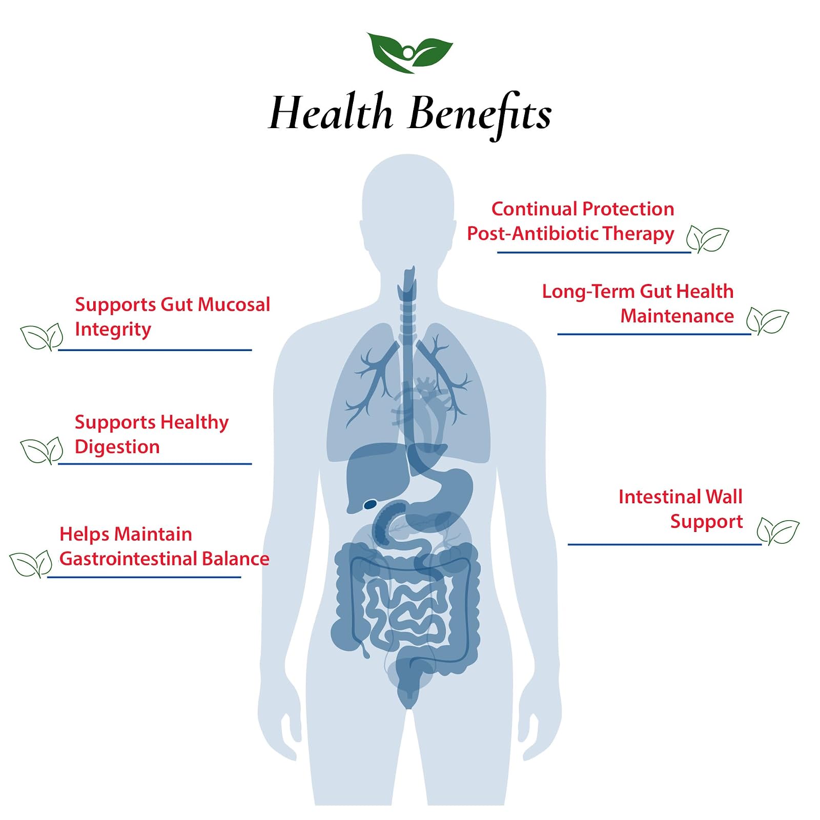 probiotics for balanced gut flora