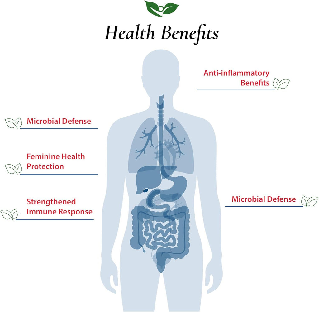 Probiotics for balanced gut flora