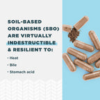 Probiotics for better digestion