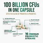 probiotics for daily digestive wellness