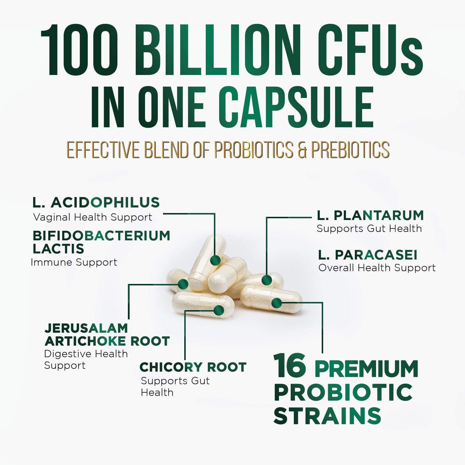 probiotics for daily digestive wellness