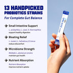 Probiotics for daily wellness routine