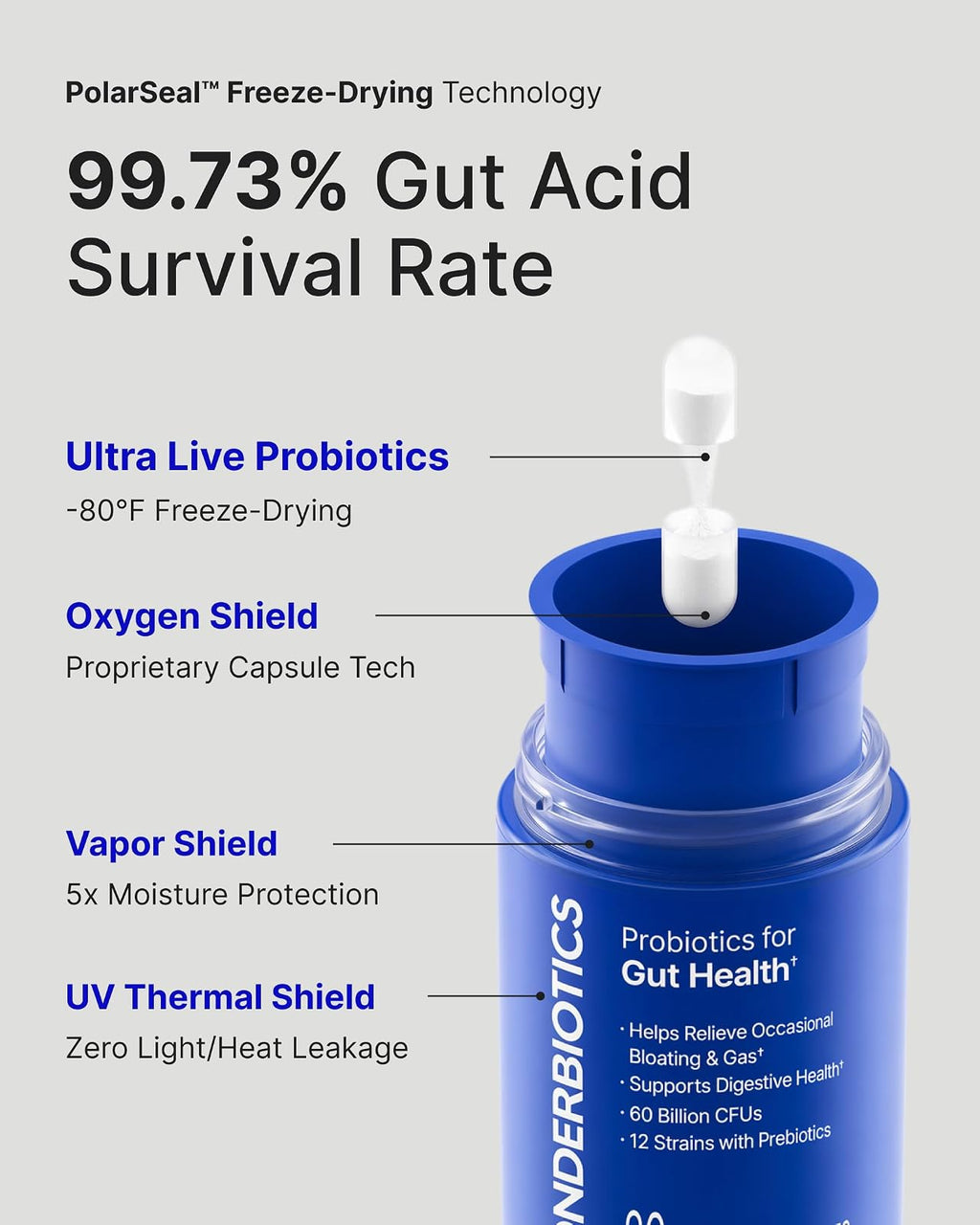 probiotics for daily wellness