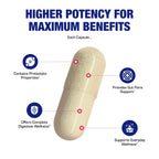 Probiotics for digestive comfort