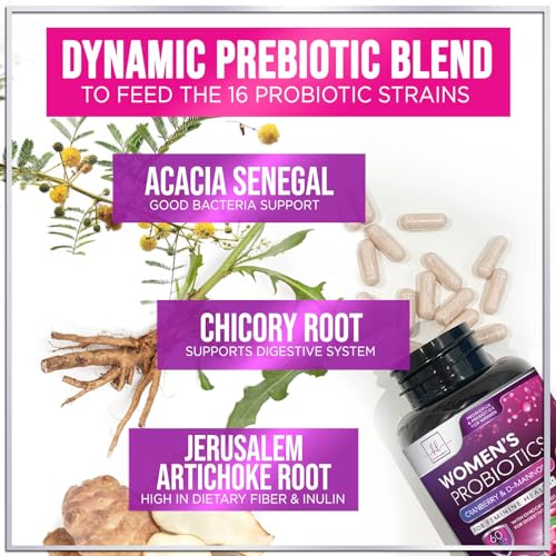 probiotics for digestive comfort