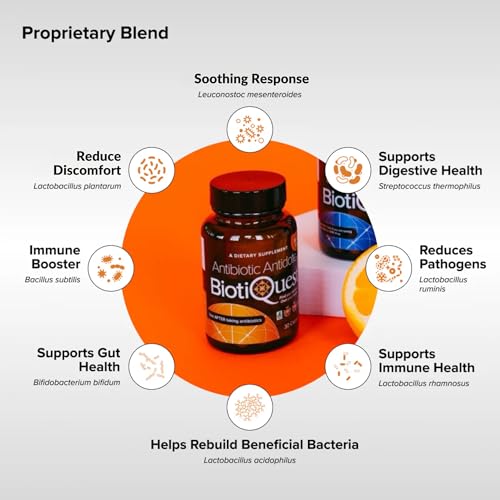 probiotics for digestive health recovery