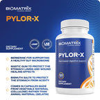 probiotics for digestive health support
