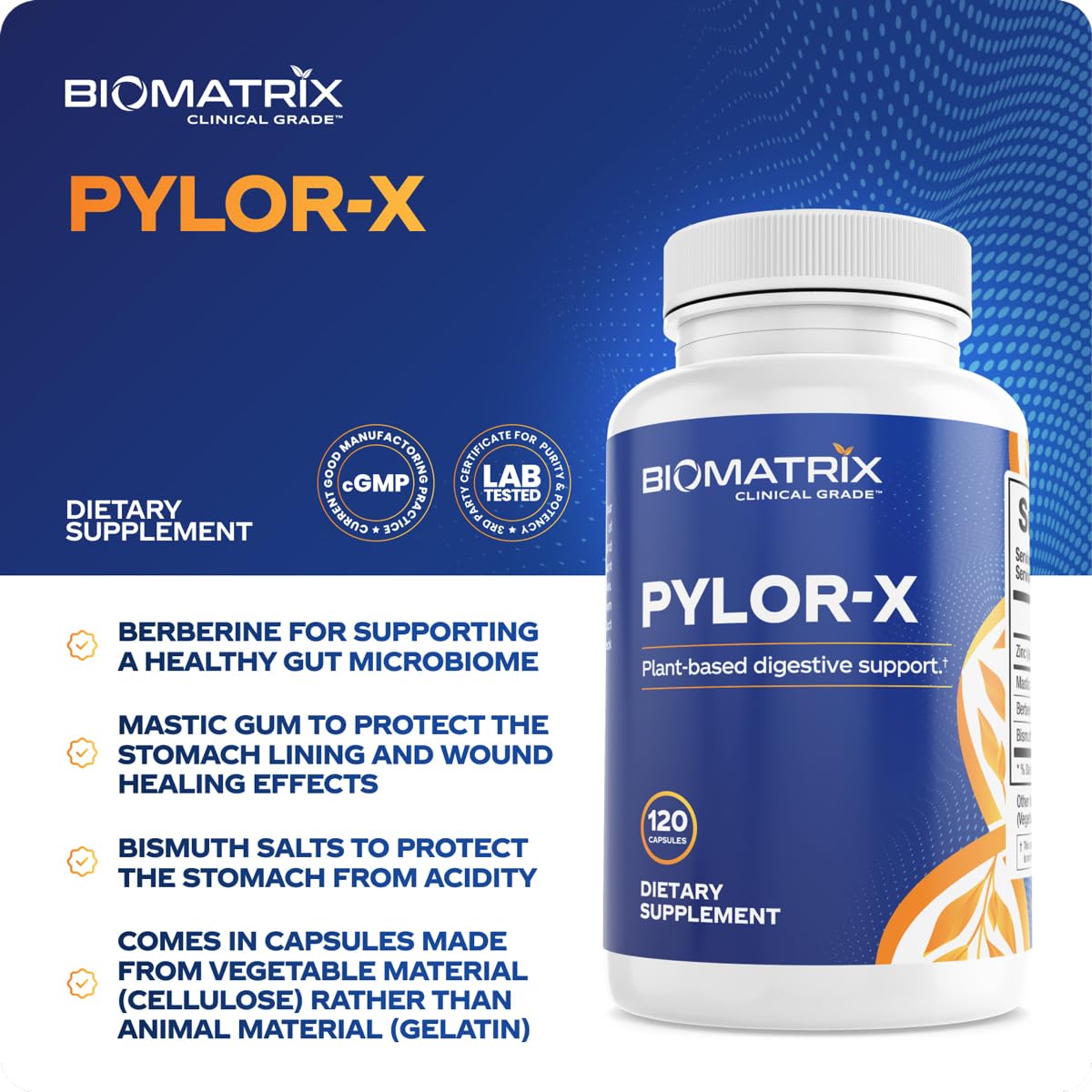 probiotics for digestive health support