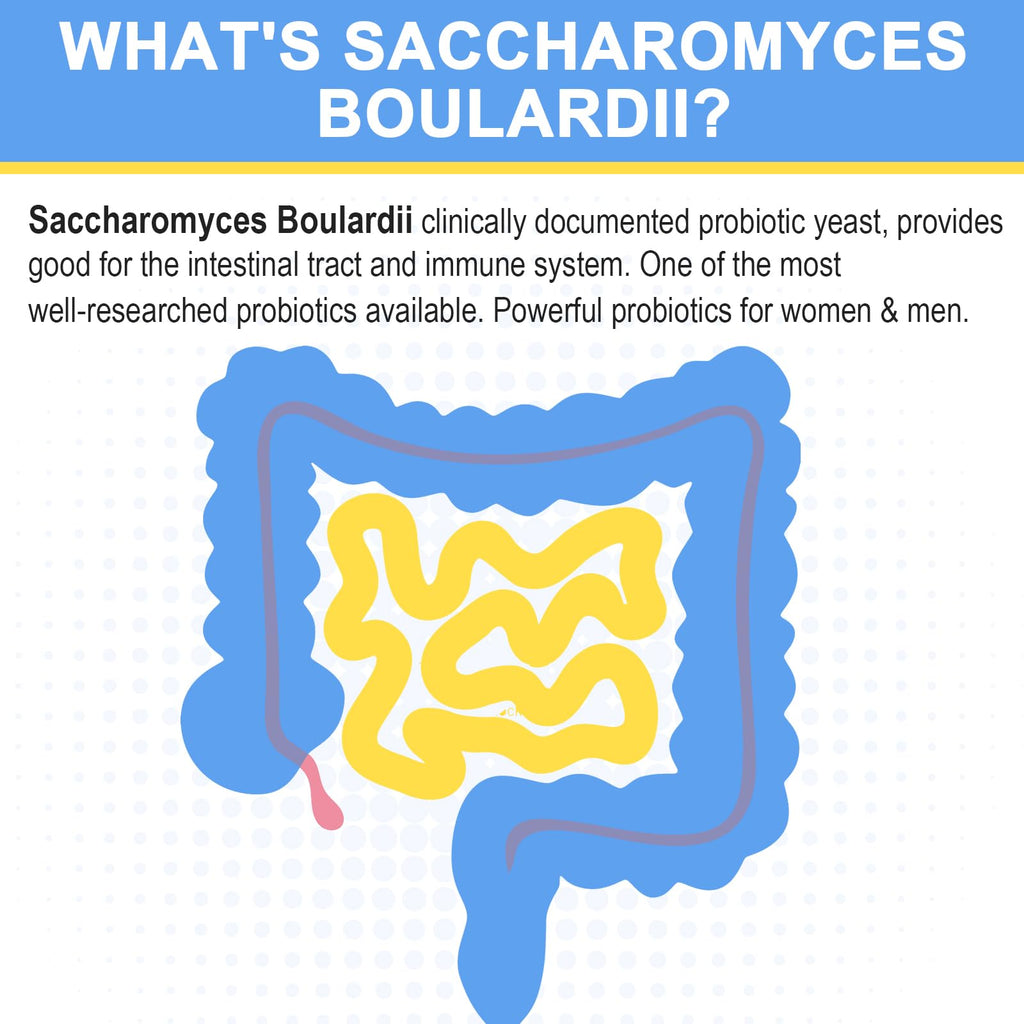 probiotics for digestive health support