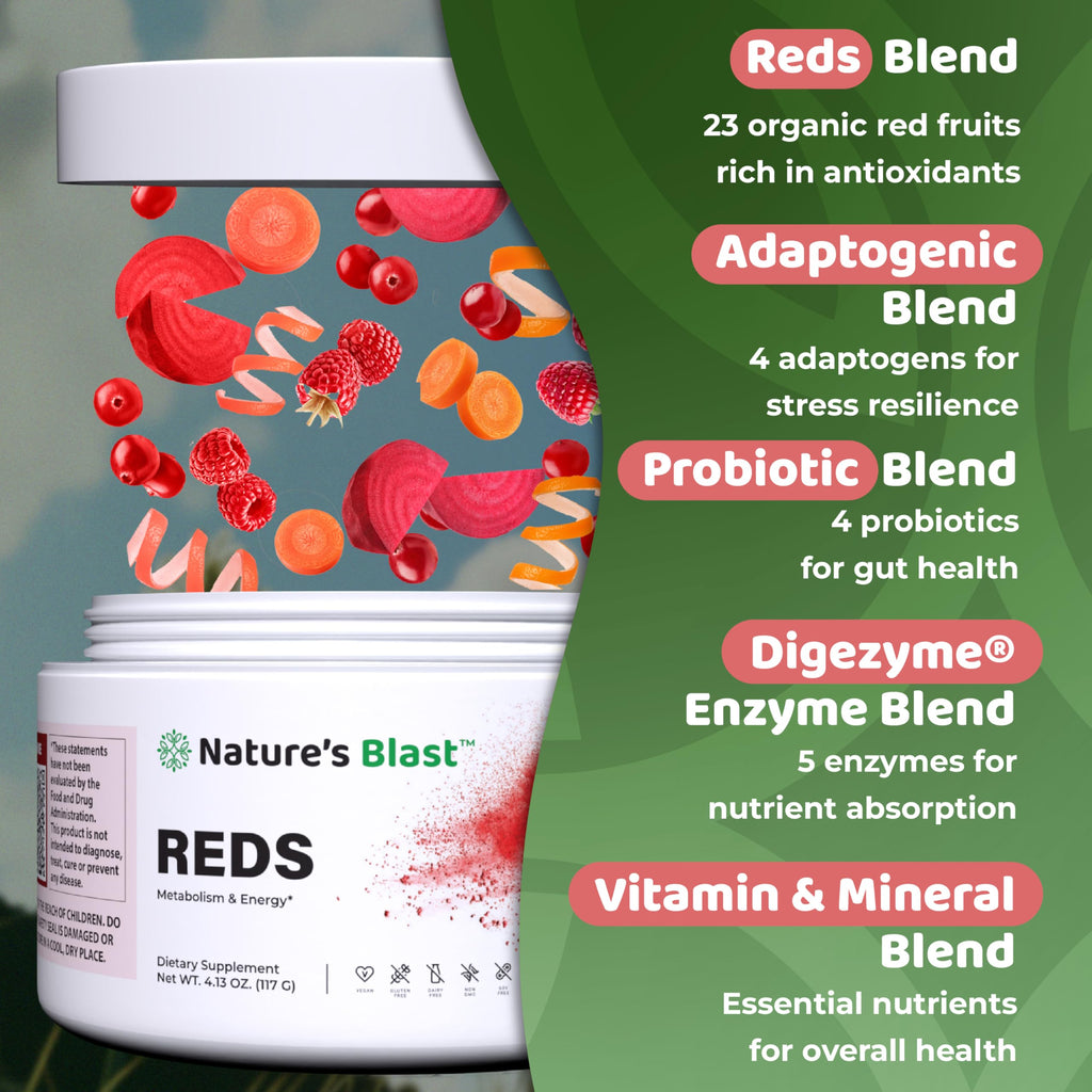 probiotics for digestive health support