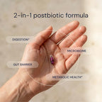 Probiotics for digestive wellness Blueprint