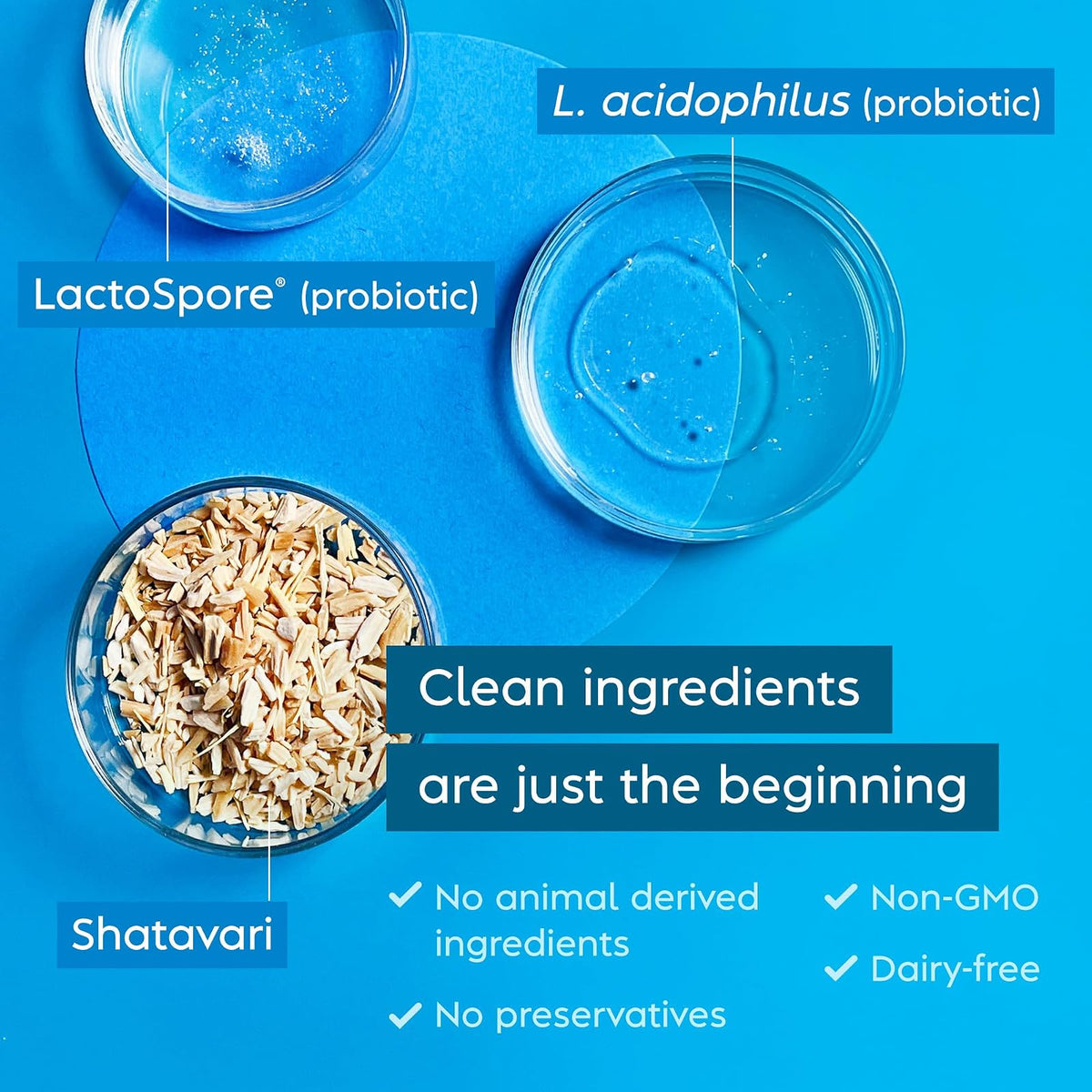 probiotics for digestive wellness