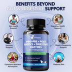 Probiotics for energy and vitality