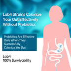 probiotics for enhanced digestive support