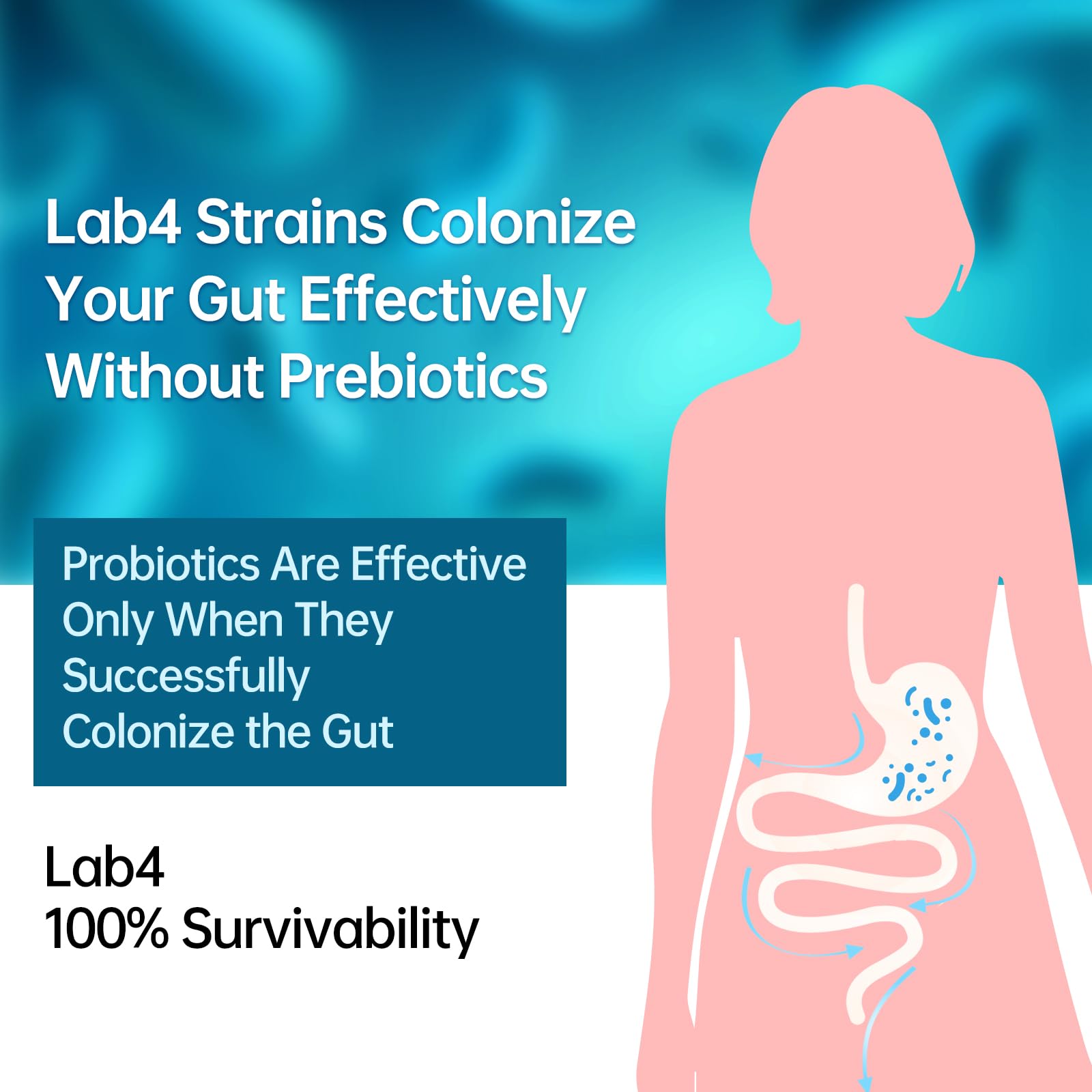 probiotics for enhanced digestive support