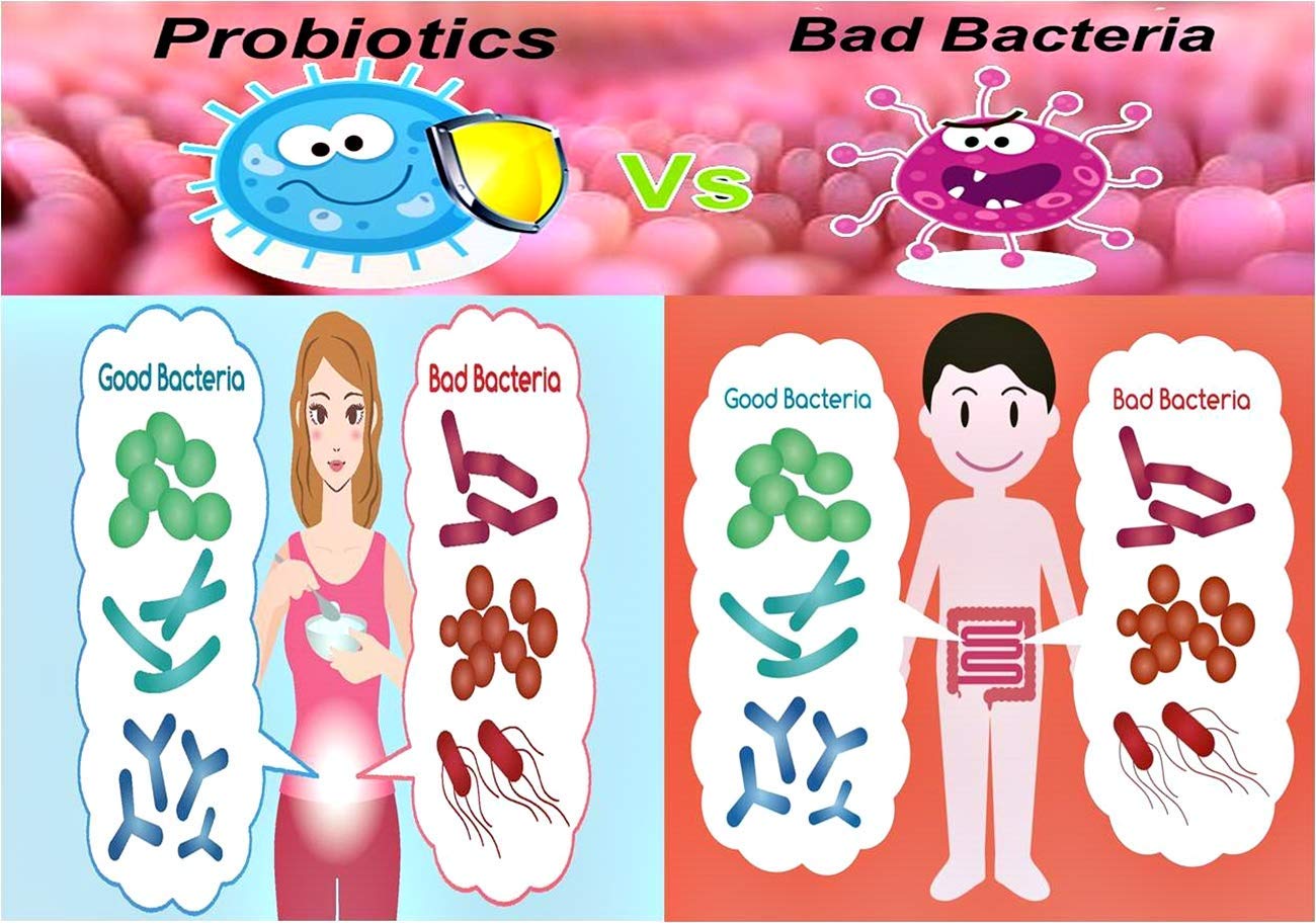 probiotics for enhanced nutrient absorption