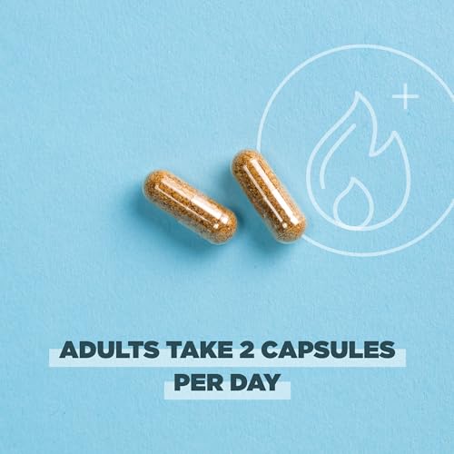 Probiotics for enhanced nutrient absorption