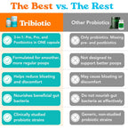 Probiotics for everyday digestive comfort