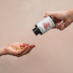 probiotics for everyday gut wellness