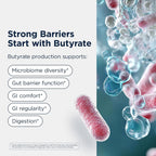 Probiotics for gut balance and wellness