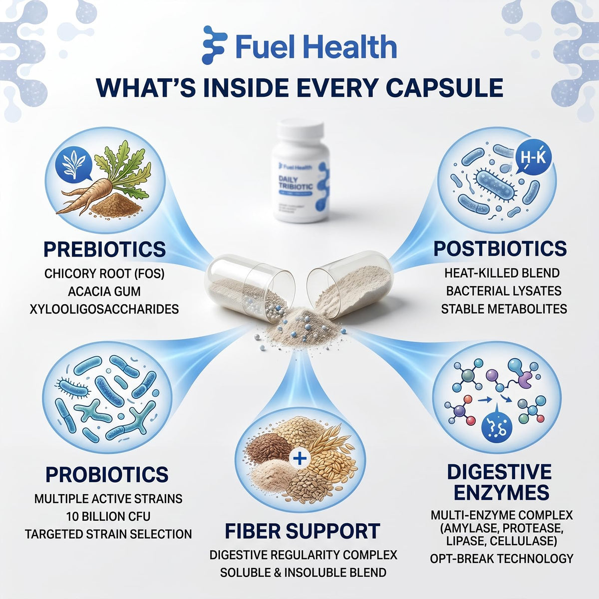 Probiotics for gut health support