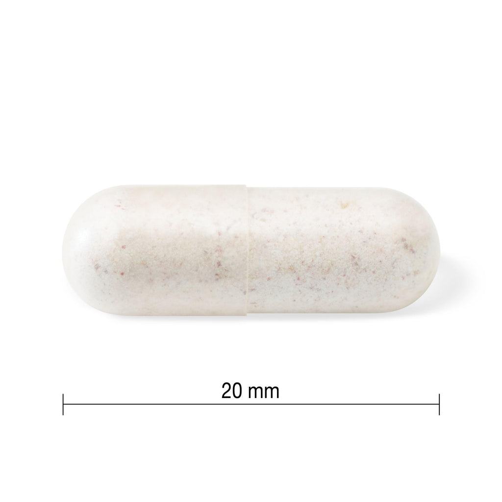 probiotics for happier, healthier pets