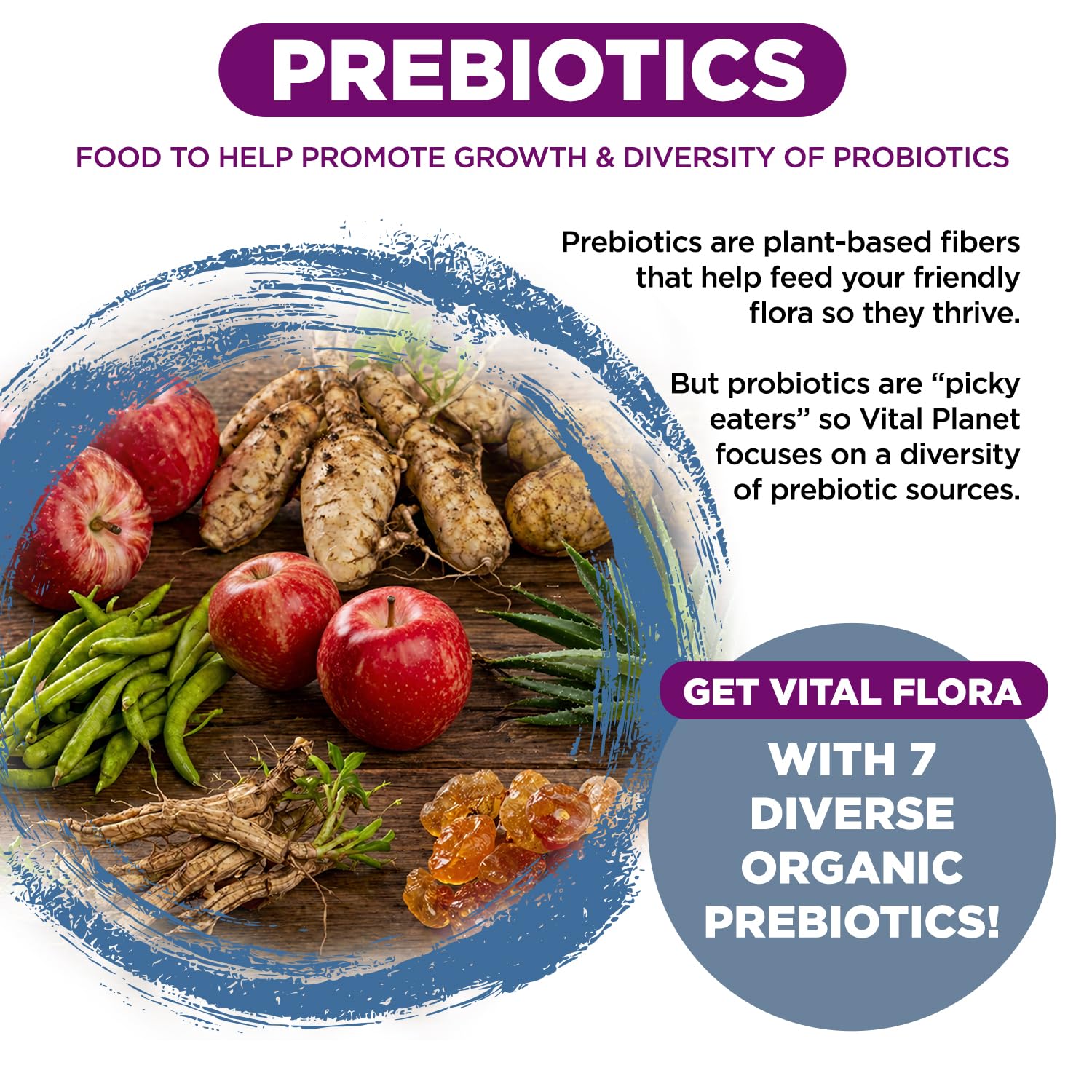 probiotics for healthy aging