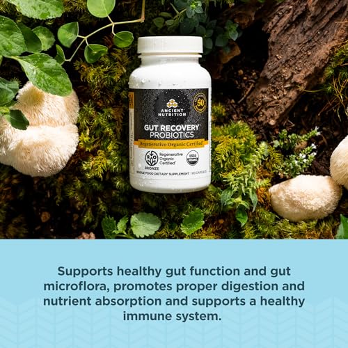probiotics for healthy digestion support