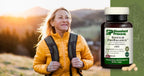 Probiotics for healthy digestion